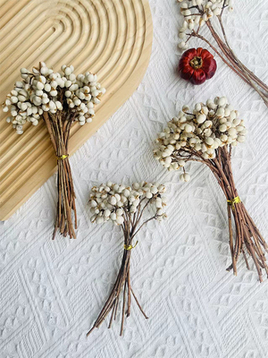 小白果干花薏米乌桕花材diy永生