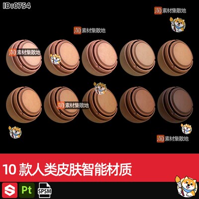 10款substance painter/SP/Pt人类人物皮肤智能材质spsm格式素材