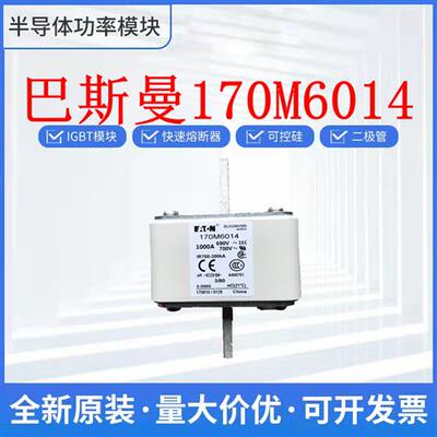 全新巴斯曼 170M6018 170M6019 170M6020 170M6021  保险丝