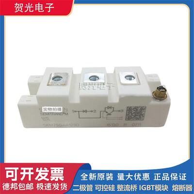 SKM75GAR063D/ SKM75GAR123D/ SKM75GB176D 西门康IGBT模块全新