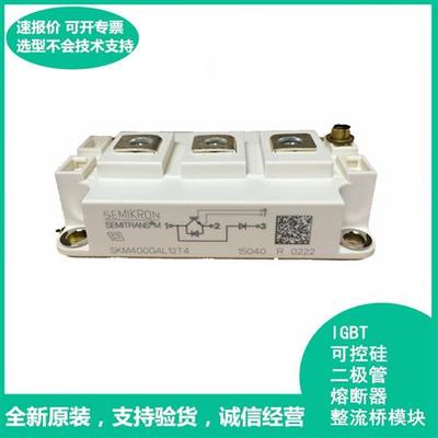 原装进口IGBT SKM400GAL12T4-V-E4-123D-124D-126D-128D询