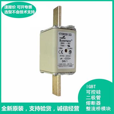 全新原装进口Bussmann保险丝 170M3813D 690V~700V快断熔断器