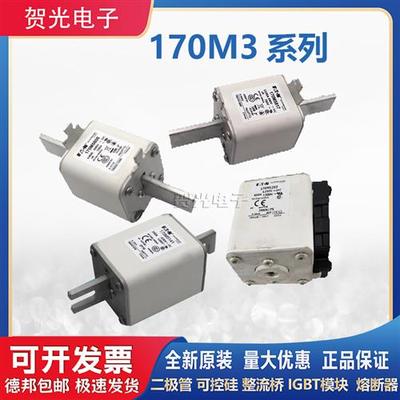 巴斯曼快速熔断器170M3363/3364/3365/3366/3367/3368/3369全系列