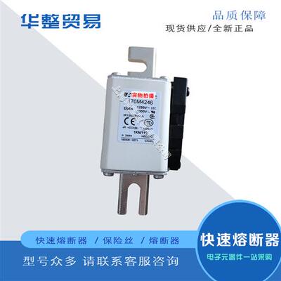 巴斯曼全新原装快速熔断器170M4262 170M4263 170M4264 170M4265