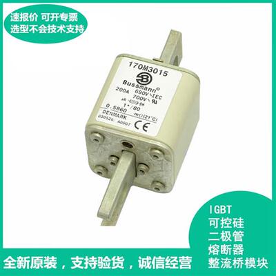 全巴斯曼170M3008 3009 3010 3011 3012 3013 3014 3015熔断器