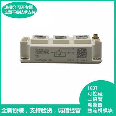 全新SKM300GAL12T4-V-E4-123D-124D-126D-128D IGBT模块 晶闸管