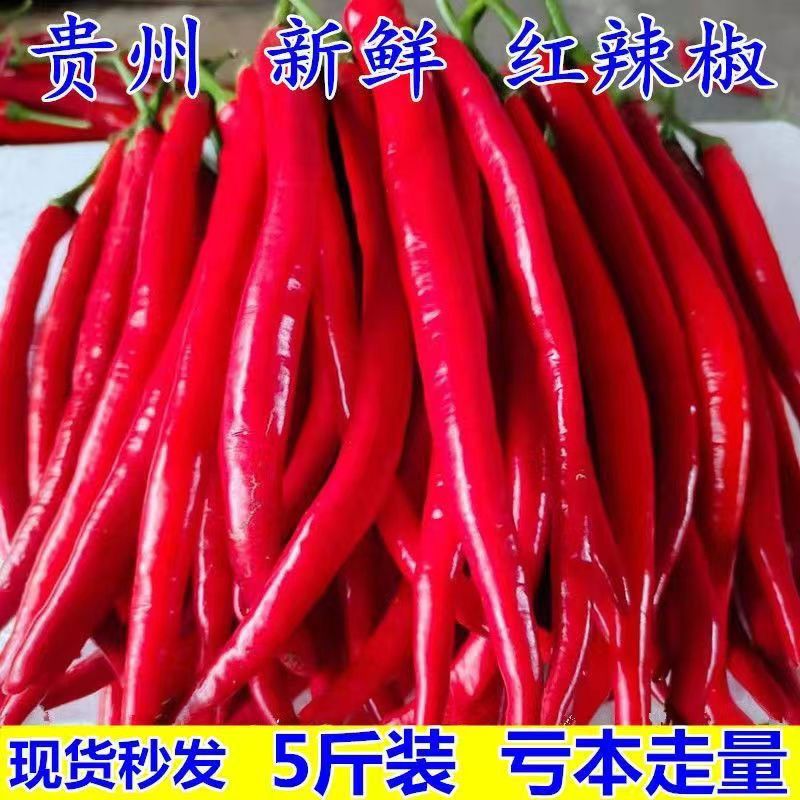 新鲜红线椒红二荆条红辣椒贵州红海椒红青椒新鲜蔬菜做剁椒辣椒酱