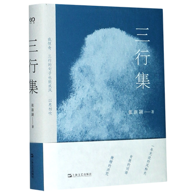 现货速发 三行集 复旦大学中文系教授张新颖著中国当代诗集作品 另著沈从文的前半生/当代批评的文学方式/迷恋计 上海文艺出版社