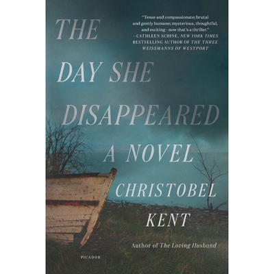 Day She Disappeared 博库网