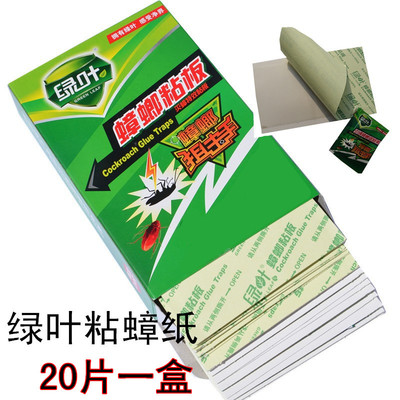 板屋灭除杀绿叶绿叶蟑螂