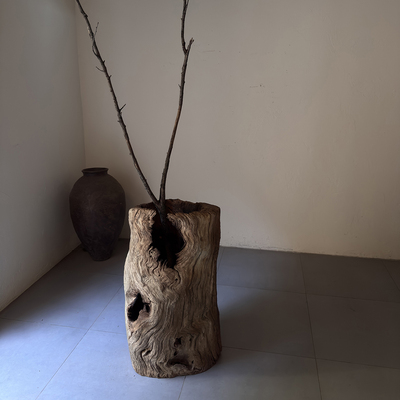 天然枯木侘寂风艺术空间装饰老木桶摆件收藏古董装饰白金啊26125