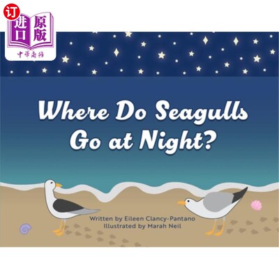 海外直订Where Do Seagulls Go at Night? 海鸥晚上去哪里？