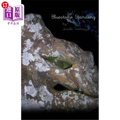 海外直订Bluestone Standing 青石站
