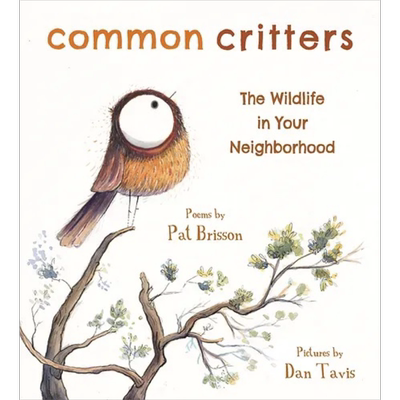 儿童自然科普绘本英文原版