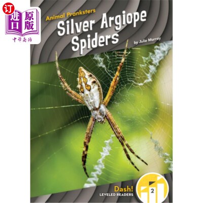 海外直订Silver Argiope Spiders  银色 Argiope 蜘蛛