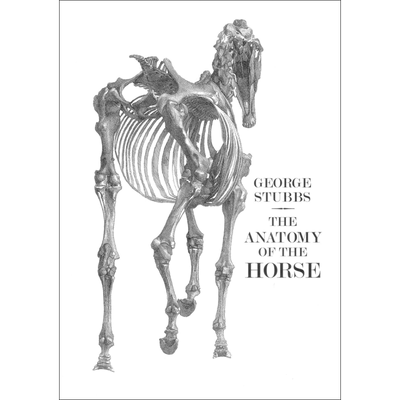 马的解剖GeorgeStubbs