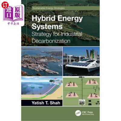 海外直订Hybrid Energy Systems: Strategy for Industrial Decarbonization 混合能源系统:工业脱碳战略