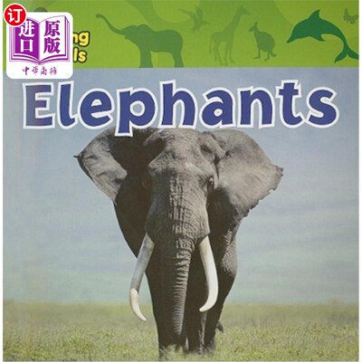 海外直订Elephants 大象