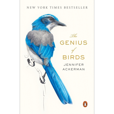 鸟类的天赋 英文原版 The Genius of Birds 生命科学 Jennifer Ackerman 珍妮弗 阿克曼【中商原版】