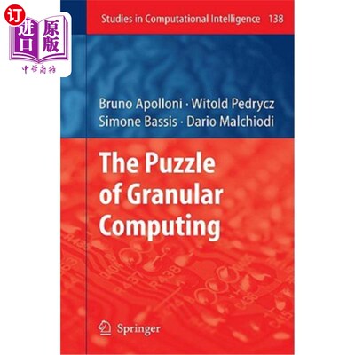 海外直订The Puzzle of Granular Computing 颗粒计算的难题