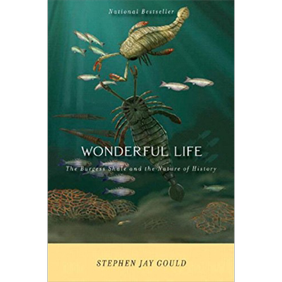 现货 奇妙的生命 伯吉斯页岩与历史本质 Wonderful Life  The Burgess Shale and the Nature of History【中商原版】