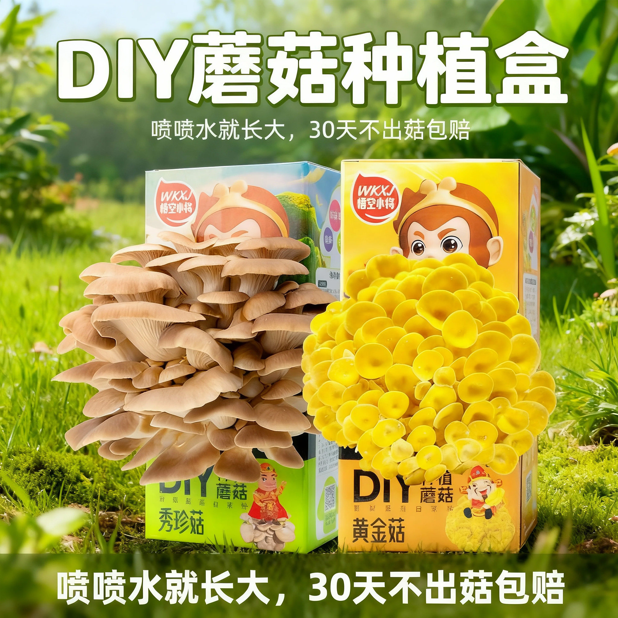 蘑菇种植包可食用蘑菇盒子菌包菌种子家种diy儿童种植蘑菇小盆栽