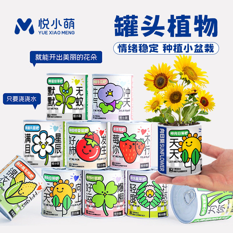 网红办公室绿植桌面罐头植物幸运草向日葵种子儿童种植迷你小