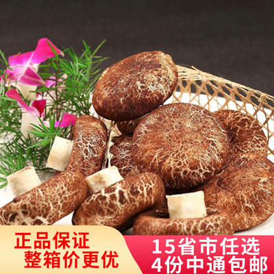 红糖蘑菇包儿童营养400克10个