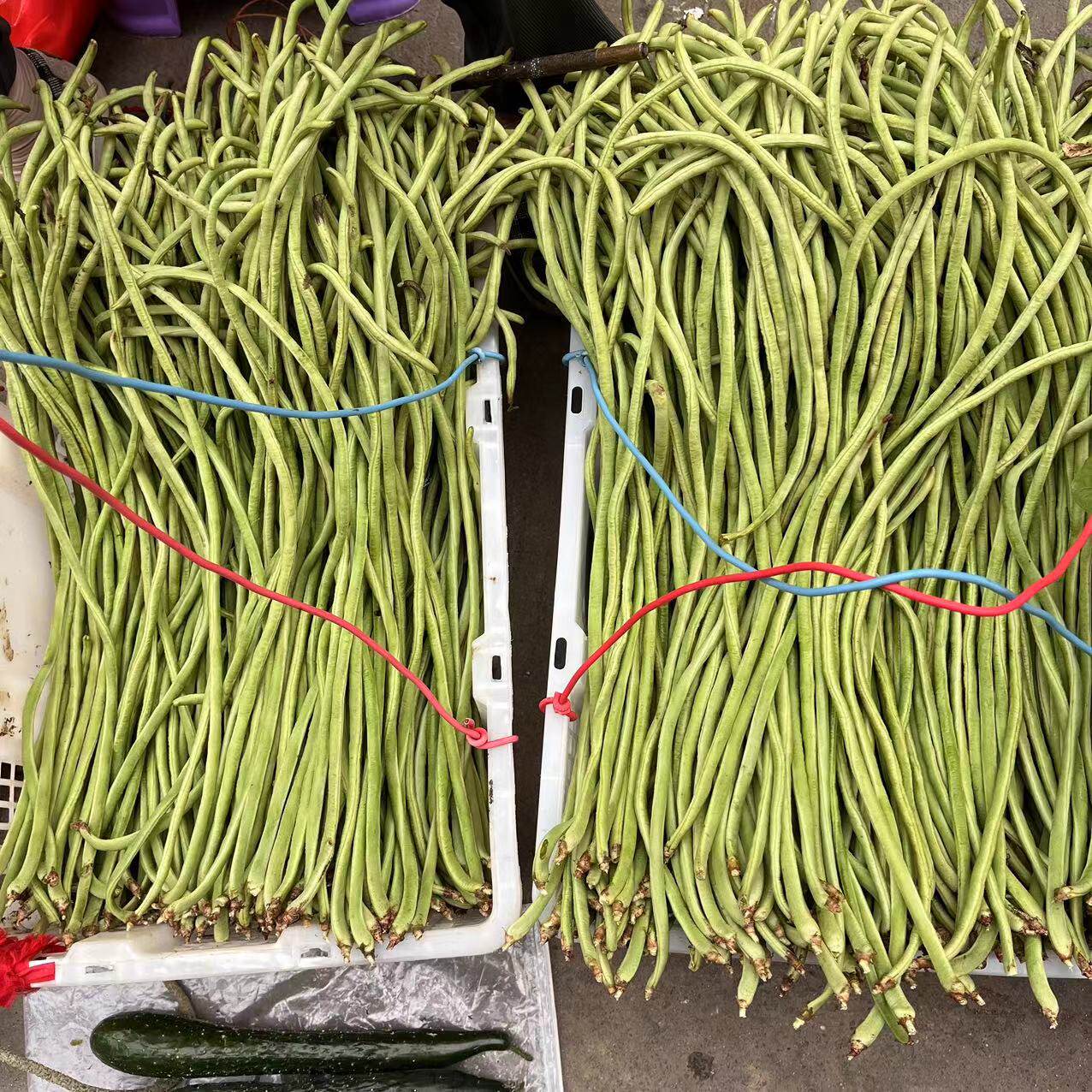 安徽无为特新鲜产豇豆农家嫩豆瓜时令蔬菜四季长豆角泡菜现摘现发