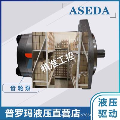 ASEDA齿轮泵SAP0.5-0.50 SAP0.5-0.65 SAP0.5D-1.30 SAP0.5D-1.60
