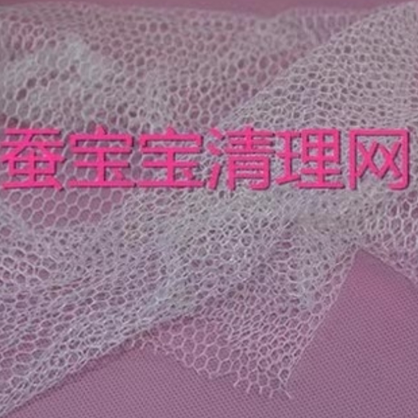 宠物专用过清理蚕滤网大小卵白蚕宝宝茧网春活体网桑蚕专用蚕结蚕