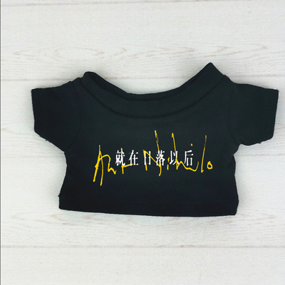 孙燕姿演唱会同款T恤拉布布衣服