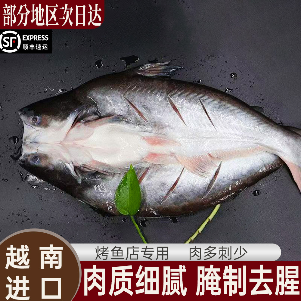 烤鱼纸包鱼专用 商用整箱开背湄公鱼 无刺带皮巴沙鱼冷冻半成品