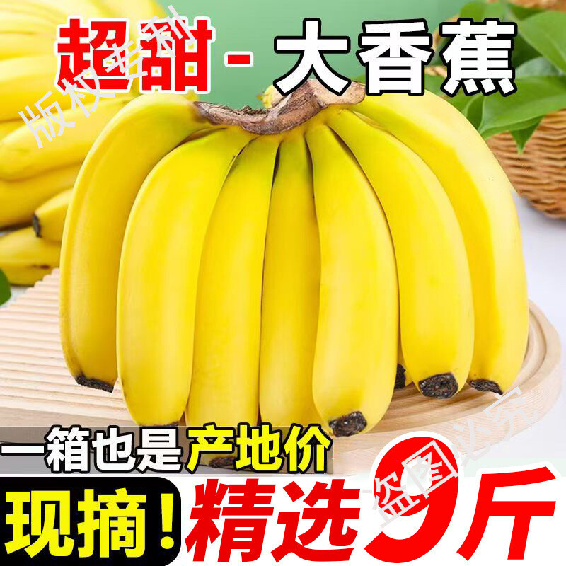 云南高山甜香蕉9斤新鲜水果当季现摘芭蕉甜香蕉整箱自然熟