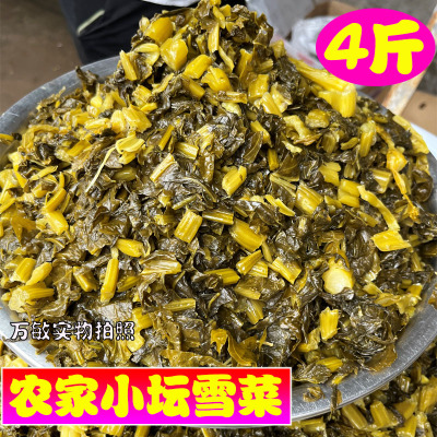 安徽六安寿县雪菜咸菜雪里蕻农家小菜腊菜酸菜下饭菜酸菜腌菜