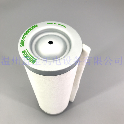滤芯真空泵蓝星U4.250