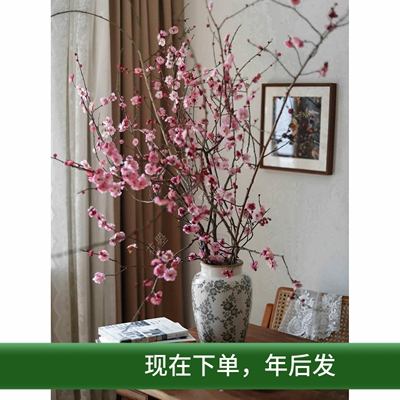 是春天的梅花鲜花瓶插花