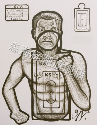 标靶R71战术靶纸 EVA靶 40*30CM 射击、竞技、练习靶纸 Target