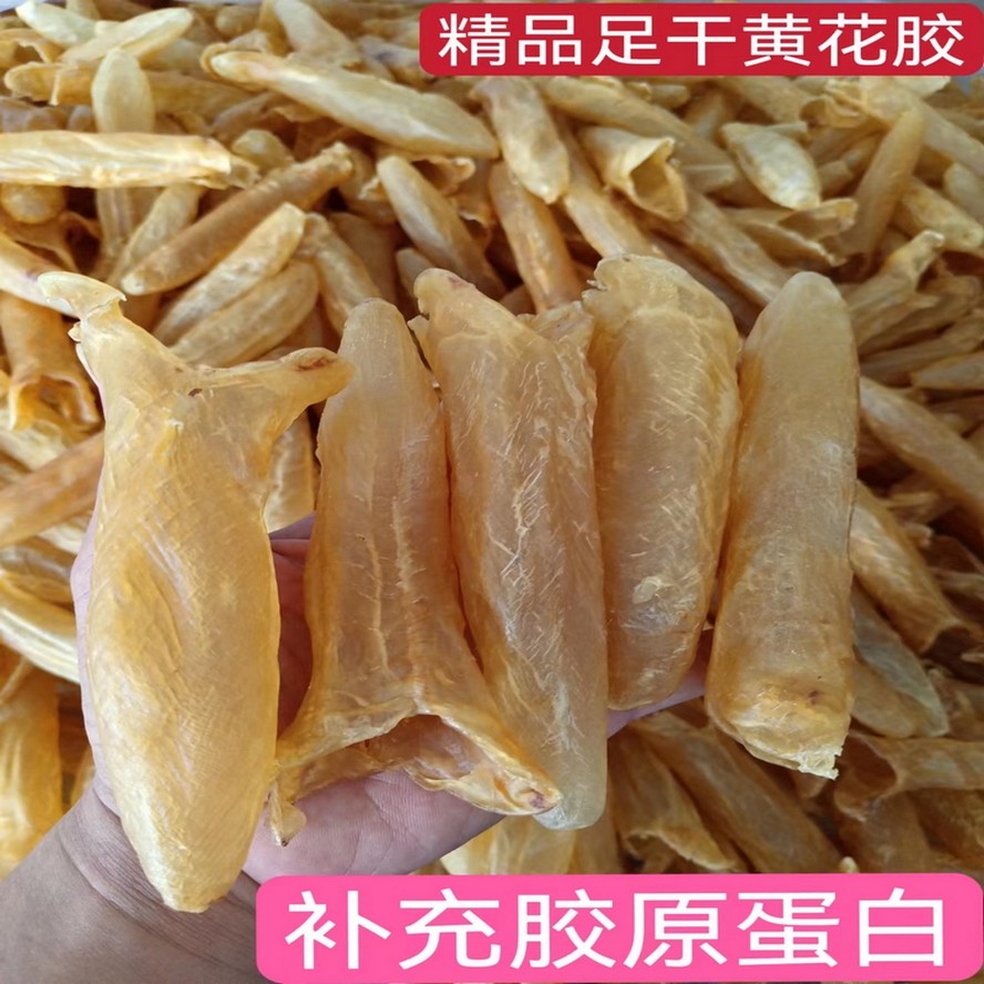 北海特产正品黄花胶 足干新货鱼肚鱼胶 女性孕妇滋补海鲜美食干货