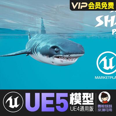 UE5虚幻4_卡通风格化鲨鱼动画角色模型资源 Scary Shark Assets