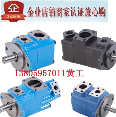 HONGYI叶片泵45VQ50A 45VQ57A-1A20R 1B20R 1C20R 1D20R 11
