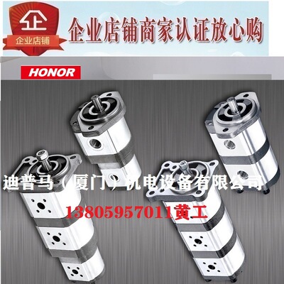 台湾钰盟HONOR双联齿轮泵2DG1BP2204R 2205 2206 2207 2208 2209
