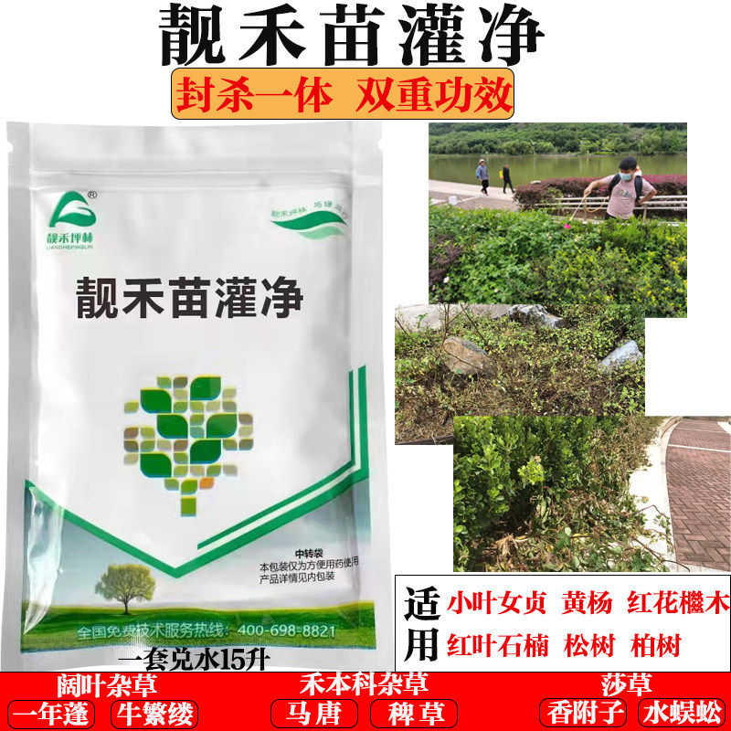 靓禾苗灌净除草剂绿篱苗木松柏石楠女贞除阔叶禾本科莎草封闭农药