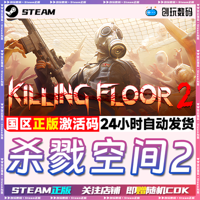 Steam正版杀戮空间2国区激活码