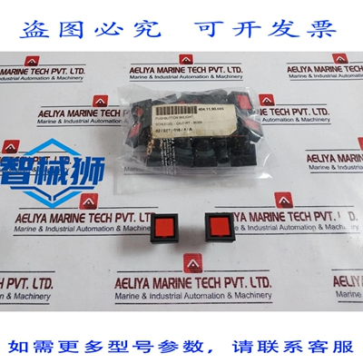 原装供应 件量 21X BOUTON POUSSOIR SCHLEL QXJT-RT AVEC LUMIER