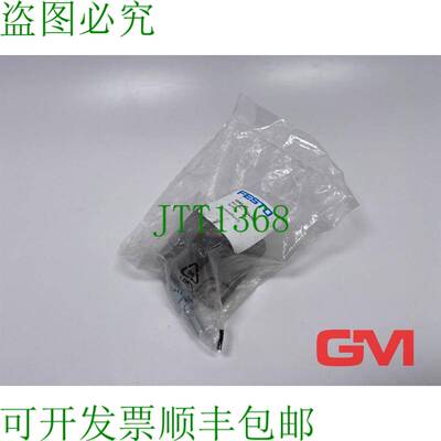 原装供应Schwenkflansch SSNG-40 Pivotant Bride 034292 Taille