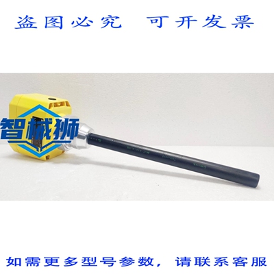 原装供应 VEGACAP 21 型 CAP21.XGBASWXXKR 长度 300 毫米 订号 1