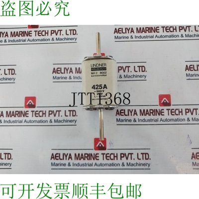 原装供应Lindner NH 2 8002 全保护保险丝 425A