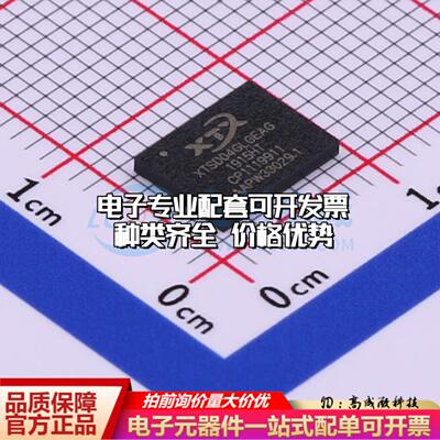 全新正品XTSD04GLGEAG LGA-8(6x8) NAND FLASH质量保证