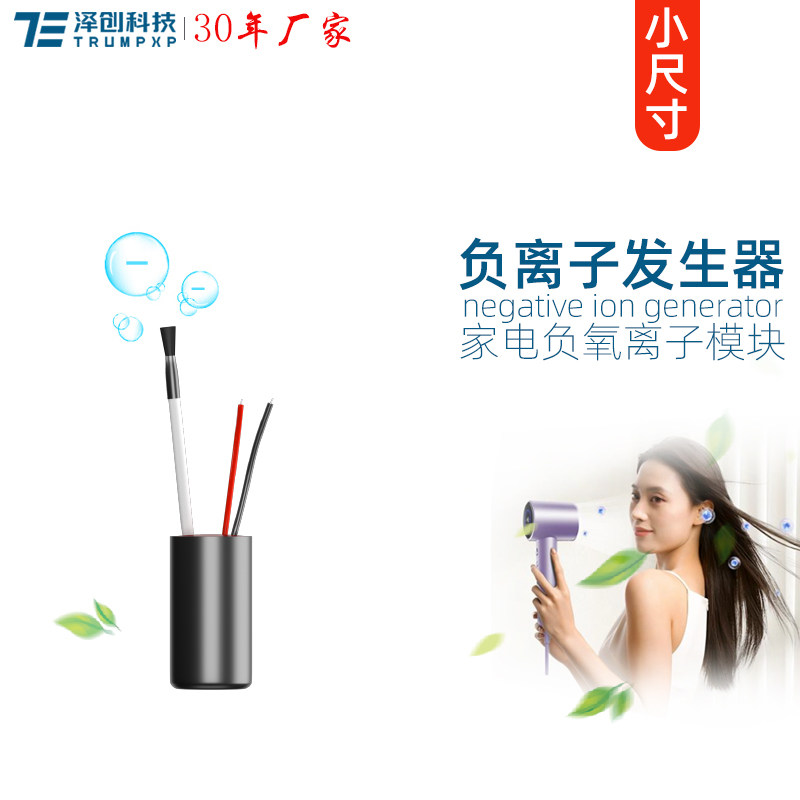 AC220V超迷你小尺寸负离子发生器模块创普TRUMPXP电吹风机配件